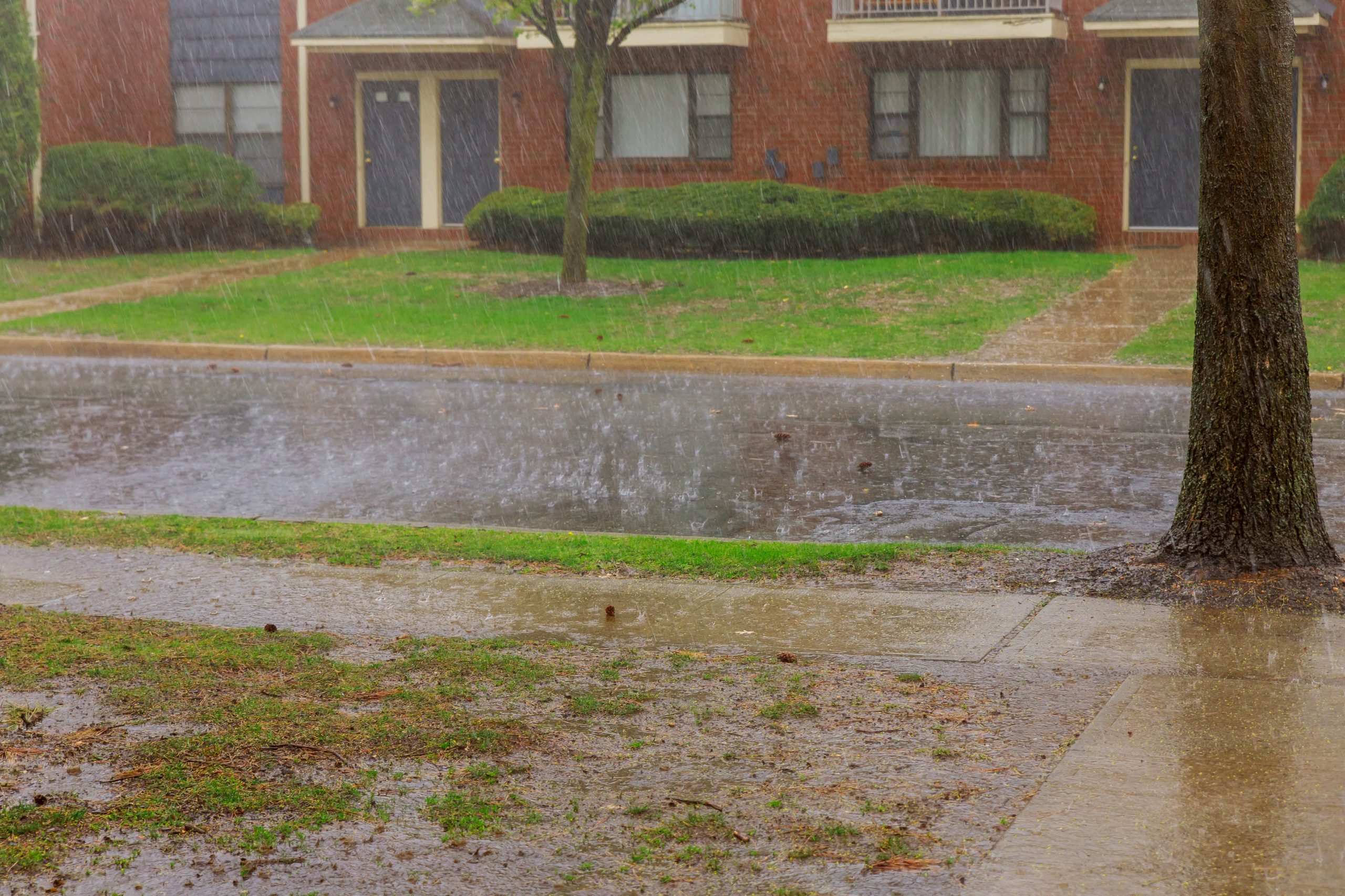 First Street National Risk Reports and Featured Research | First Street