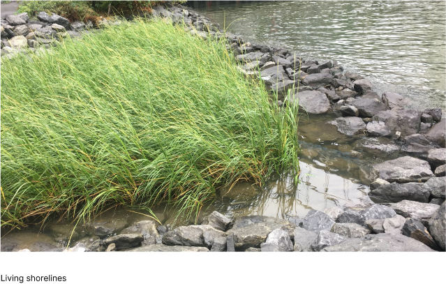 Flood Protection and Prevention - - Tips and Solution | First Street